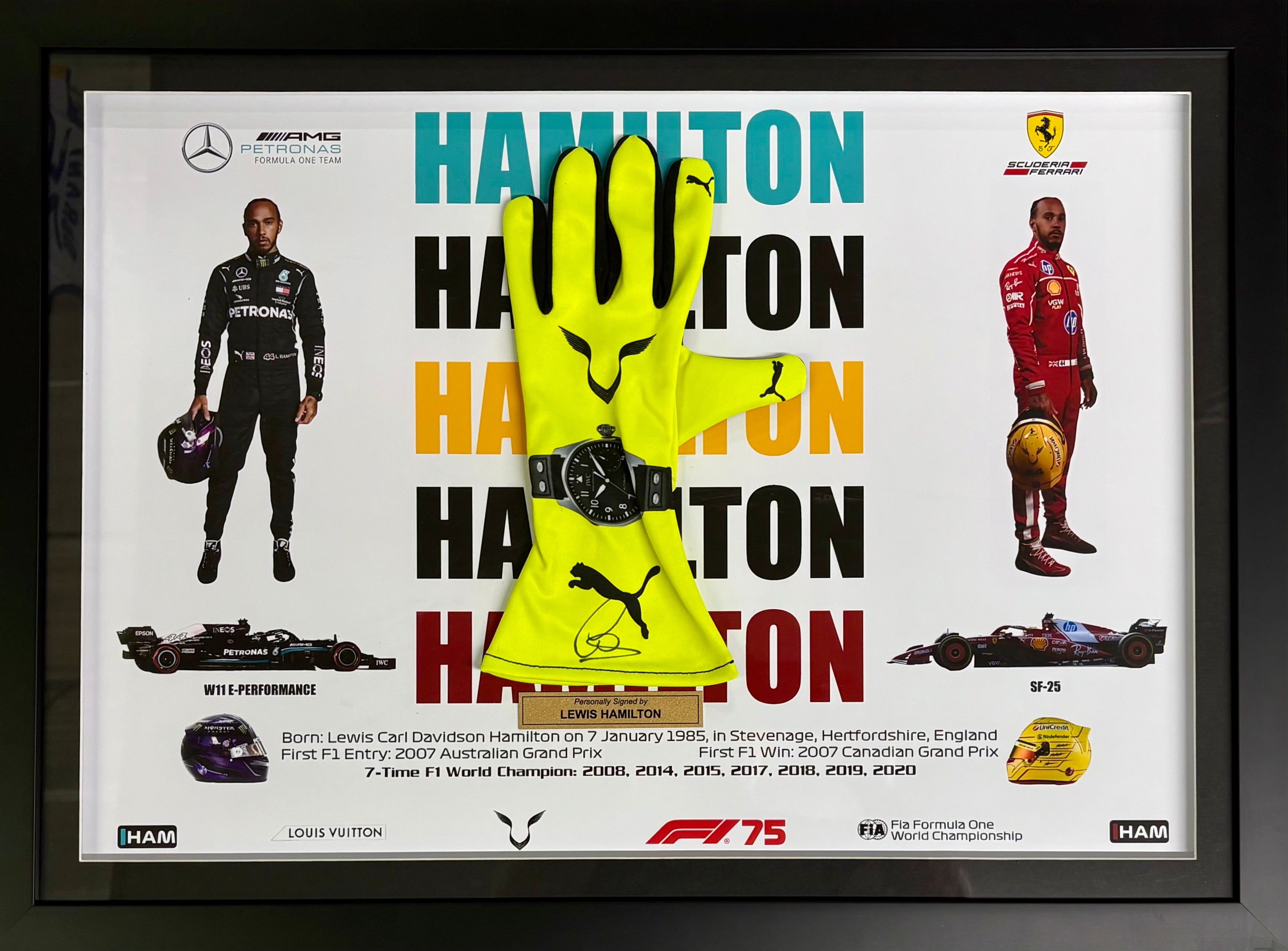 LEWIS HAMILTON Signed Glove Display – Superstars & Legends